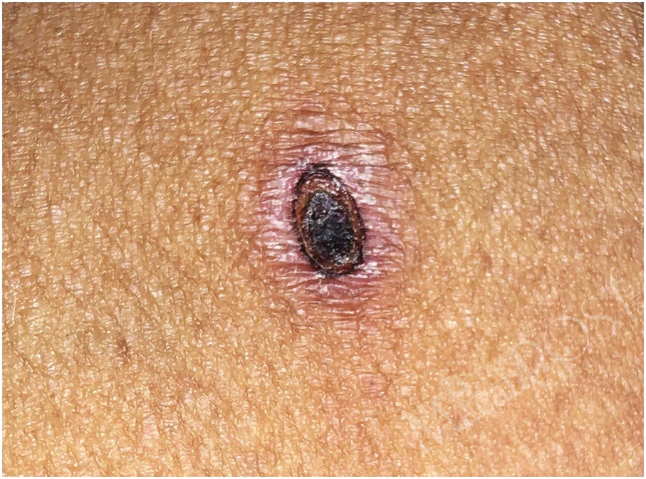 The Macau Post Daily